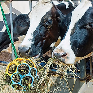 Besimple 2 Pack Horse Treat Ball Hay Feeder Toy, Goat Feeder Ball Hanging Feeding Toy for Horse Goat Sheep Relieve Stress (Colorful)