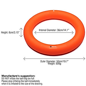 WISEMAX Exercise Ball Chair – Stability Yoga Balance Ball with Ring Base, Resistance Bands & Pump, Loop Bands, Carry Bag, Poster for Home, Office, Posture, Gym Bundle, Home Workout- 65cm