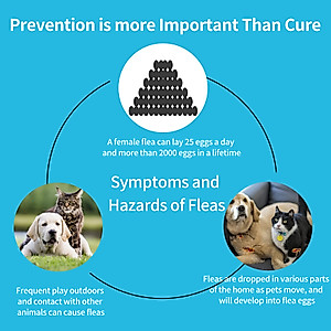 Flea and Tick Prevention for Dogs, Small Dog Flea & Tick Control with Fipronil, Long-Lasting and Fast-Acting Topical Flea & Tick Treatment Drops for Puppies, 5 to 22 lbs, 3 Doses