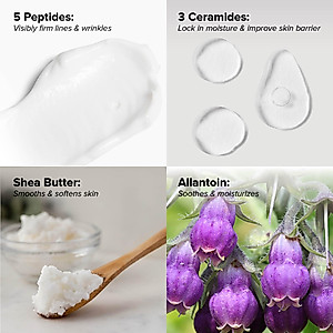 DRMTLGY Peptide Night Cream Face Moisturizer. Fragrance Free and Oil Free Hydrating Facial Moisturizer for All Skin Types. 2.1 oz