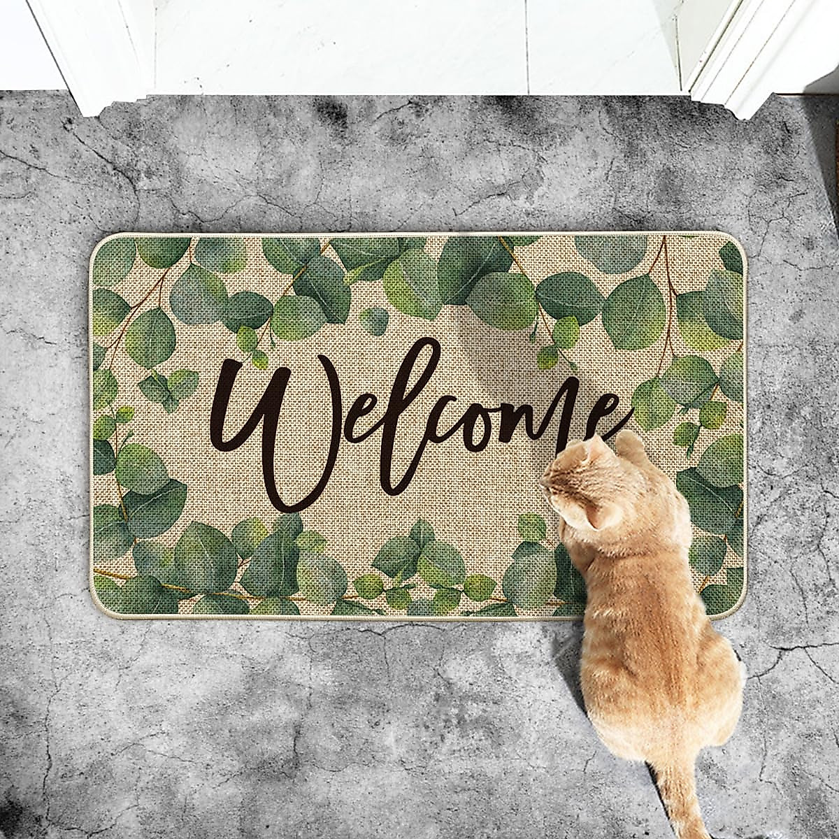 Artoid Mode Eucalyptus Summer Welcome Doormat, Seasonal Spring Summer Low-Profile Yard Floor Switch Mat for Indoor Outdoor 17 x 29 Inch