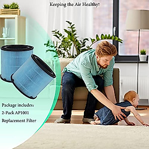 Nyingchi AP1001 Replacement Filter,Compatible with AIRTOK® AP1001 Air Purifier. 5-Layer Purification System H13 Ture HEPA Filter,2-Pack