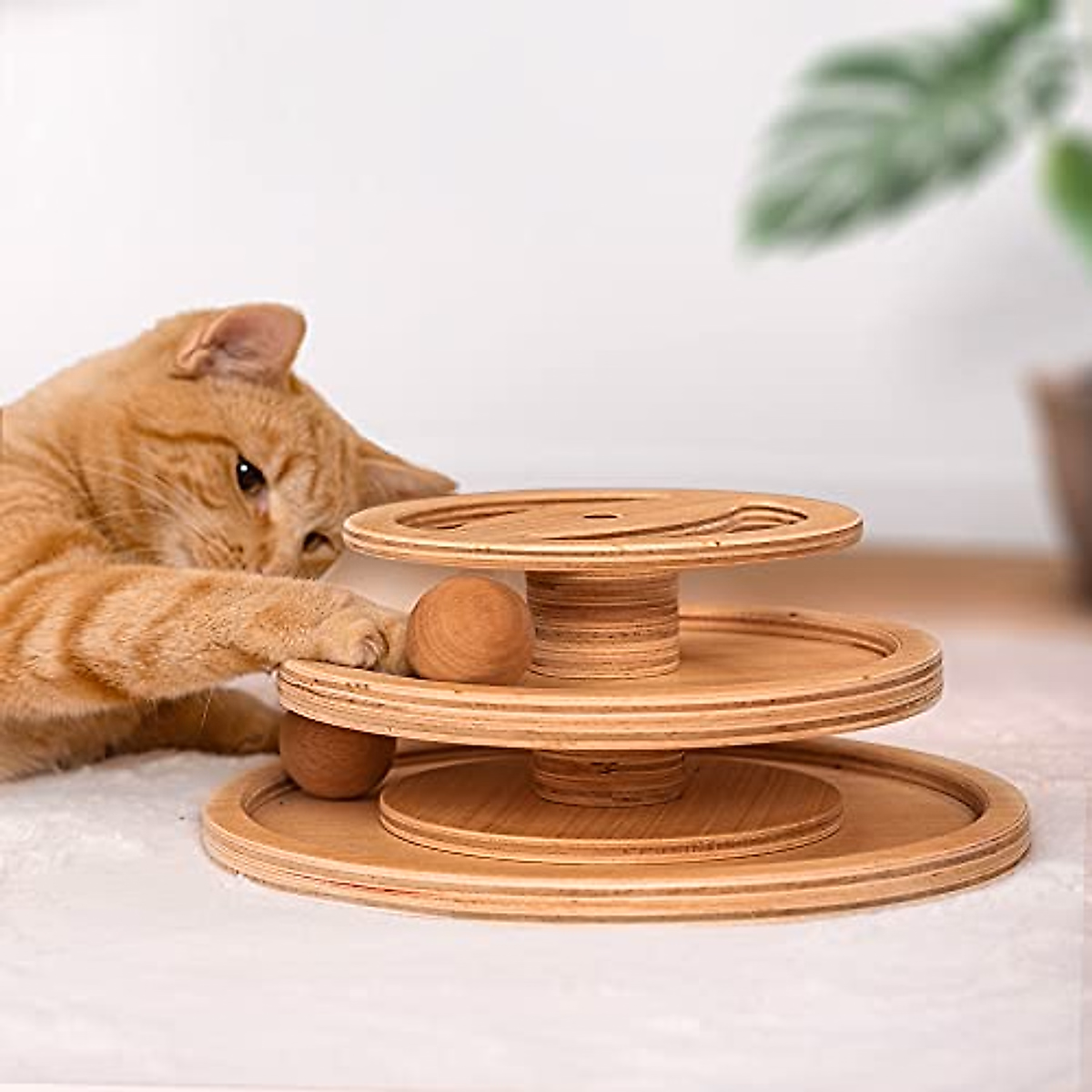 7 Ruby Road Cat Ball Track Toy 100% Natural Sustainable Wood Interactive Cat Toy - Interactive Indoor Cats Toy for When You are Away - Self Play Interactive Cat Toy for Indoor Cats Toy Ball Track