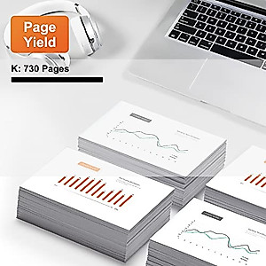 TESEN 61XL Remanufactured 61XL Ink Cartridge Replacement for HP 61XL 61 XL Use with HP Envy 4500 5530 5539 DeskJet 1055 1010 1050A 2546 3000 Officejet 2622 4631 4630 eAIO Printer (2 Black Combo)