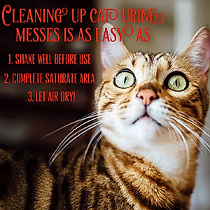 Stink Free Instantly Urine Odor Remover & Eliminator for Cat Urine, Oxidizer Based Urine Cleaner for Carpets, Rugs, Mattress, etc. 128 Oz (1 Gallon)