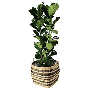 KOUBOO 1060042 Large Striped Wicker Storage Basket, 26.5" x 26.5" x 27.5", Beige/Black