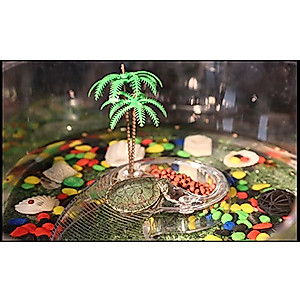 OMEM Portable Reptile House Terrarium Habitat Clear and Breathable (Medium)