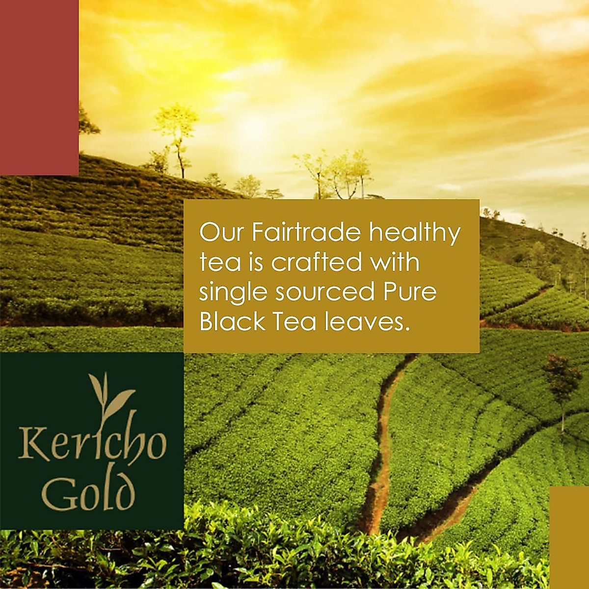 Kericho Gold Black Loose Leaf Tea - Rich in Antioxidants - Orange Pekoe Tea - Kenya Origin - Unique Flavor - 500g