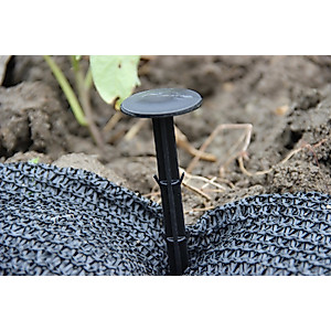 KINGLAKE 30 Pcs 6 Inches Plastic Tarp Stakes Anchors Sturdy Plastic Stakes for Keeping Garden Netting Down,Holding Down The Tarps and Landscape Fabric Lawn Edging,Tents,Weed Cover