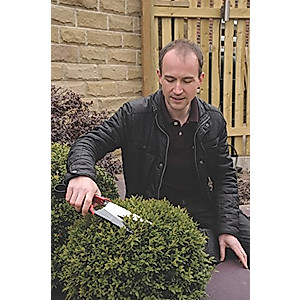 Spear & Jackson 4855TS Razorsharp Topiary Shears, Red, Blue & Silver