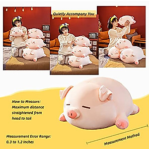 CHDGIOHA Pig Stuffed Animal Plush Pillow - 15.7'' Cute Kawaii Pink Pig Hugging Pillow, Soft Cuddle Plush Toy, Adorable Birthday Gift for Girls and Girlfriend (Round Eyes, 15.7in)