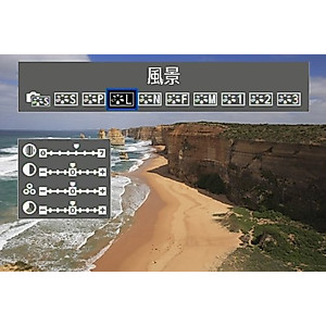 Canon EOS 60D 18 MP CMOS Digital SLR Camera (Body Only) - International Version