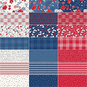 Jen Allyson Land of The Brave Rolie Polie 40 2.5-inch Strips Jelly Roll Riley Blake RP-13140-40