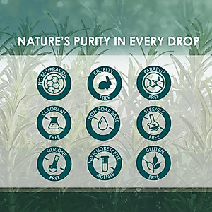 SH-RD Sage Purifying Shampoo for Oily Scalp | Deep Cleansing, Rebalancing, Hydrating Dandruff Scalps | Safe for Flat Hair & All Hair Types, | Sulfate-, Silicone-Free Oil Control Shampoo -6.76oz/200ml