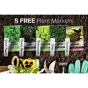 Hydroponic Seeds for Planting Planting Indoors and Outdoor 5 Variety Pack - Tatsoi, Kale, Buttercrunch, Romaine and Loose Leaf Lettuce Seeds by Gardeners Basics