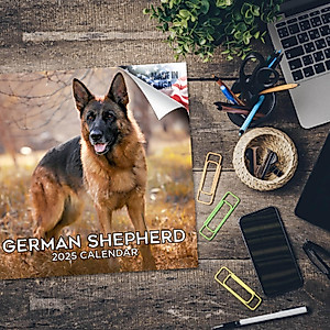 2024 2025 German Shepherd Calendar - Dog Breed Monthly Wall Calendar - 12 x 24 Open - Thick No-Bleed Paper - Giftable - Academic Teacher's Planner Calendar Organizing & Planning - Made in USA