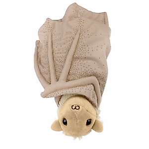 Stellaluna Gift Set Special Edition Hardcover by Janell Cannon, Stellaluna Stuffed Animal, Activity Booklet, Downloadable Crafts with Activity Kit and Create a Bat Artwork Gift Set