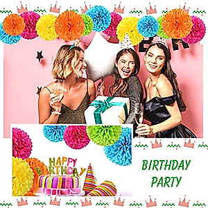 Tissue Pom Pom Paper Flower Ball Party Decorations - 15 Pcs 10, 12, 14 Inch -for Wedding, Birthday, Bridal Shower, Bachelorette, Baby Gift Shower