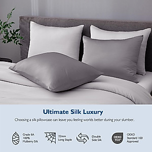 Dafinner 100% Mulberry Silk Pillowcases Standard Size, Grey Silk Pillow Cases Set of 2, Hair and Skin Friendly, Hidden Zipper, Gifts for Women Men, 2 Pack, 20x26 Inches