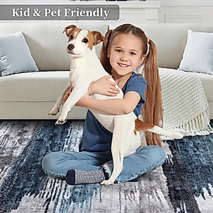 Ciicool Modern Abstract Area Rug 2x3 Washable Small Entryway Rug, Non-Slip Low Pile Throw Rug, Foldable Kitchen Bathroom Rug, Blue Grey Floor Carpet for Entrance Living Room Bedroom Indoor Doormat