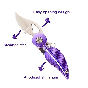 CHJIANAO Pocket Knife Womens with Chain,Small Pocket Knife,Cool Knives,Cool Gadgets,Edc Knife,Mini Pocket Knife,Cute Key Accessories(Purple)