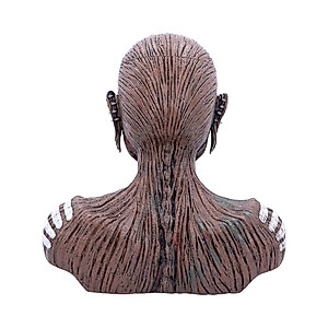 Nemesis Now Officially Licensed Iron Maiden Book of Souls Bust Box, Brown, 26cm (Large)