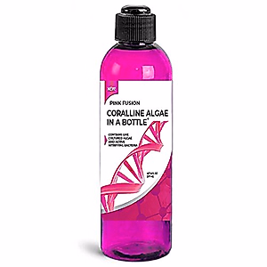 Coralline Algae in a Bottle + Nitrifying Bacteria for Saltwater Aquariums, Pink Fusion Strain