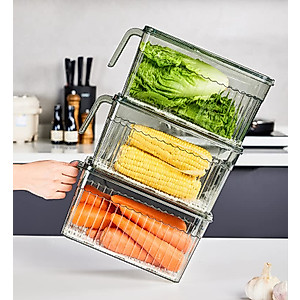 Transparent with handle kitchen drain box basket fruit vegetable food refrigerator frozen storage box food container