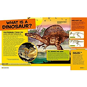 National Geographic Kids Everything Dinosaurs: Chomp on Tons of Earthshaking Facts and Fun