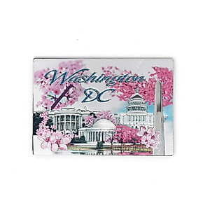 Cherry Blossom Washington D.C. Fridge Magnet
