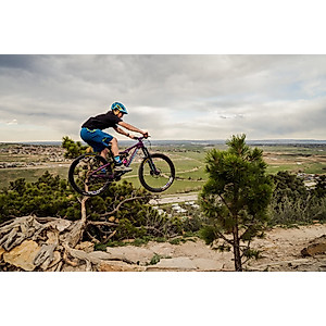 Swiftwick VISION SIX Impression, Parks Edition, Running and Cycling Socks (Yellowstone Bison, Medium)