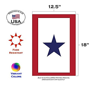 Toland Home Garden 112177 Service Star Flag 12x18 Inch Double Sided Garden Flag for Outdoor House Patriotic Flag Yard Decoration
