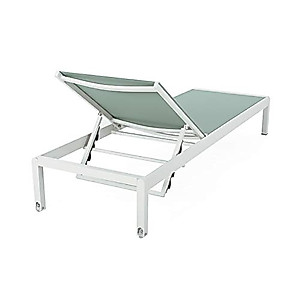 Christopher Knight Home Vanessa Coral Outdoor Chaise Lounges (Set of 2), Green and White