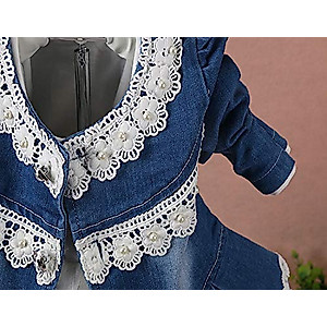 Yao 6M-4Y Infant 3Pcs Baby Girls Clothes Set Toddler Outfits Lace Dress Jacket and Jeans (3-4Y,Flower-White)