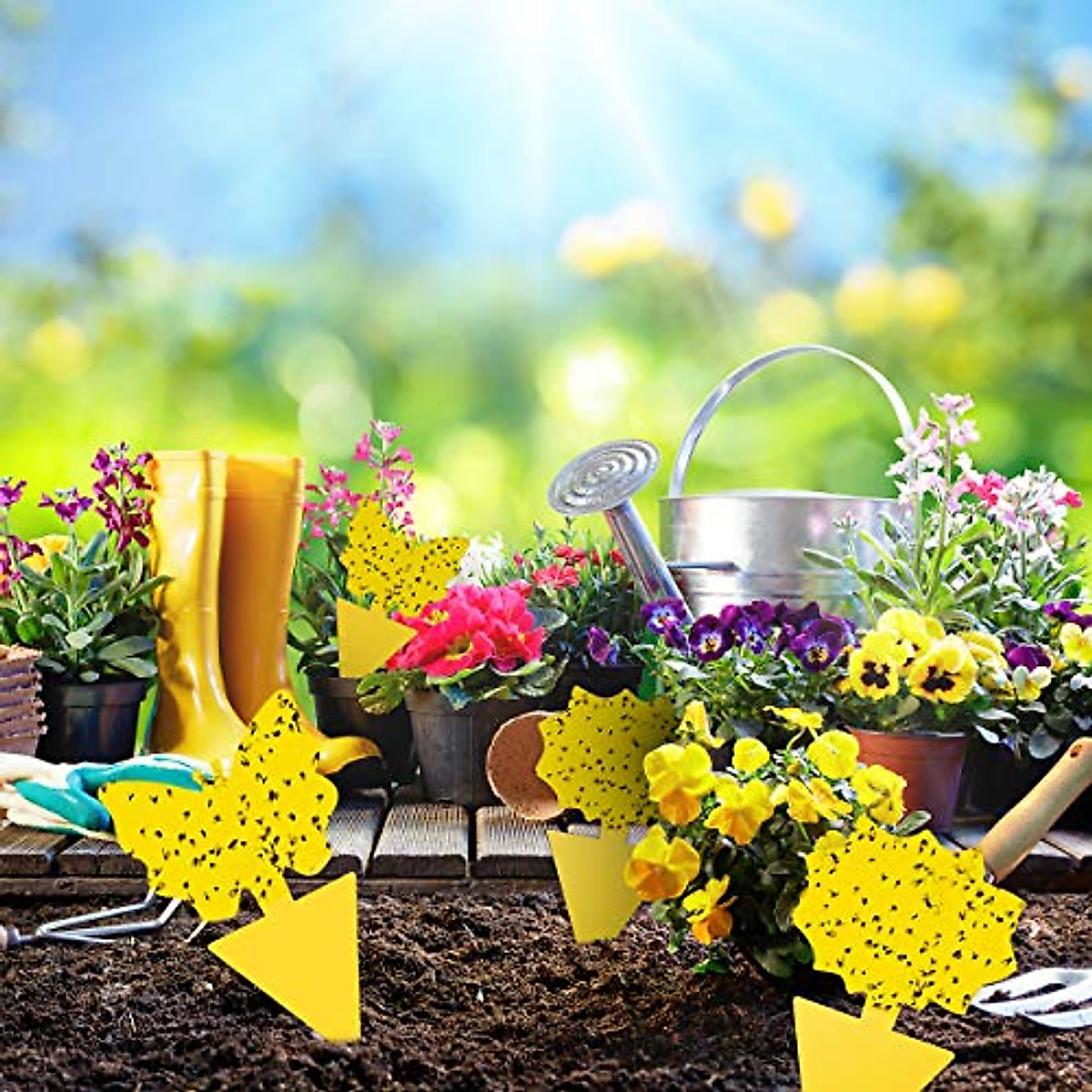 50 Pack Yellow Sticky Traps for Indoor Outdoor House Plant Flying Insect Catcher Like Fungus Gnats, Whiteflies, Aphids, Thrips, Other Flying Plant Insects