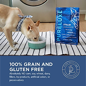 PURELUXE Grain and Gluten Free Dog Food, Stellar Elite Nutrition, Chicken, Trout, and Eggs, for Adult and Senior Dogs, Made in The USA, 4lbs
