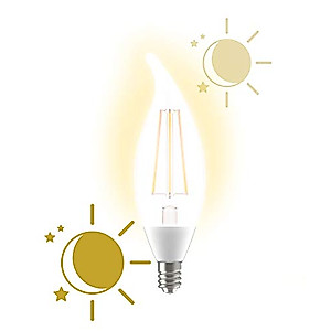 GE LED+ Dusk to Dawn LED Light Bulbs with Sunlight Sensors, Automatic On/Off Light Sensing Bulbs, Outdoor Decorative Bulbs, Soft White (Pack of 2)