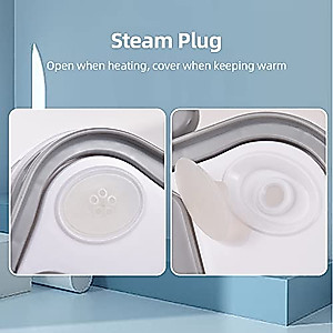 Ailgely Electric Lunch Box Food Heater,2 in 1 Food Warmer Heated Lunch Box,1.8L Removable Stainless Steel Container,110V 12V-24V 60W,Leak-proof,with Bag, Spoon, Fork for Car Truck Home