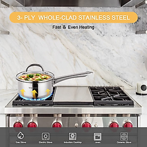 TPFAMELI 1 Quart Saucepan with Lids, Small Saucepan Stainless Steel Tri-Ply Layer Thickened Bottom Sauce Pan Sauce Pot,Dishwasher Safe & Oven Safe (1QT)