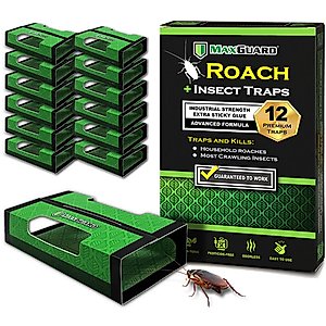 MaxGuard Roach + Spider Traps (12 Box Traps) | Non-Toxic Extra Sticky Box Traps | Trap and Kill German Cockroach, American, and Oriental Roaches Plus Crawling Bugs & Insects House |