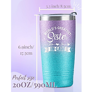 Onebttl Sister Gifts from Sister, Insulated Stainless Steel Wine Tumbler with Lid and Straw, Funny gifts for Sis on Mother's Day, Birthday, Christmas, 20 oz, World's Greatest Sister in Law