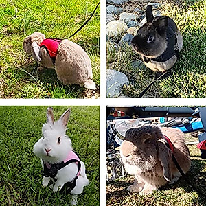 Pettom Bunny Rabbit Harness with Stretchy Leash Cute Adjustable Buckle Breathable Mesh Vest Harness and Leash Set for Kitten Small Pets Holland Lop Bunnies Walking (S(Chest:10.8-12.9 in), Pink)