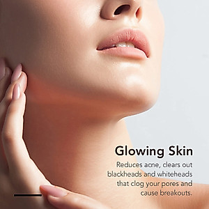 Fancii Nano Ionic Facial Steamer Hot & Cool with Aromatherapy and 6 Spa Settings – 30 Min Steam Time - Professional Home Face Sauna for Moisturizing & Pore Cleansing (Rivo)