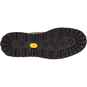 Danner Men's 33020 Light II 6" Gore-Tex Hiking Boot, Dark Brown - 8 D