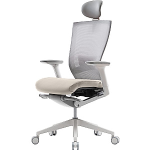 SIDIZ T50 Ergonomic Home Office Chair : High Performance, Adjustable Headrest, 2-Way Lumbar Support, 3-Way Armrest, Forward Tilt, Adjustable Seat Depth, Ventilated Mesh Back, Cushion Seat (Beige)