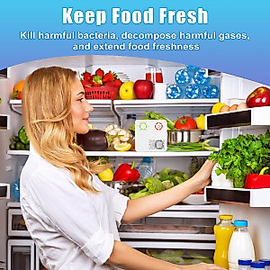 Air Purifiers for Home, Quiet Air Cleaner with Timing Function and 6-speed Adjustable, Long Battery Life, Food Preservation, Portable Small Air Purifier for Fridge Bedroom Office Living Room Kitchen