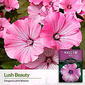 Survival Garden Seeds - Rose Mallow Seed for Planting - Packet with Instructions to Plant and Grow Bright Pink Native Wildflower in Your Home Vegetable Garden - Non-GMO Heirloom Variety