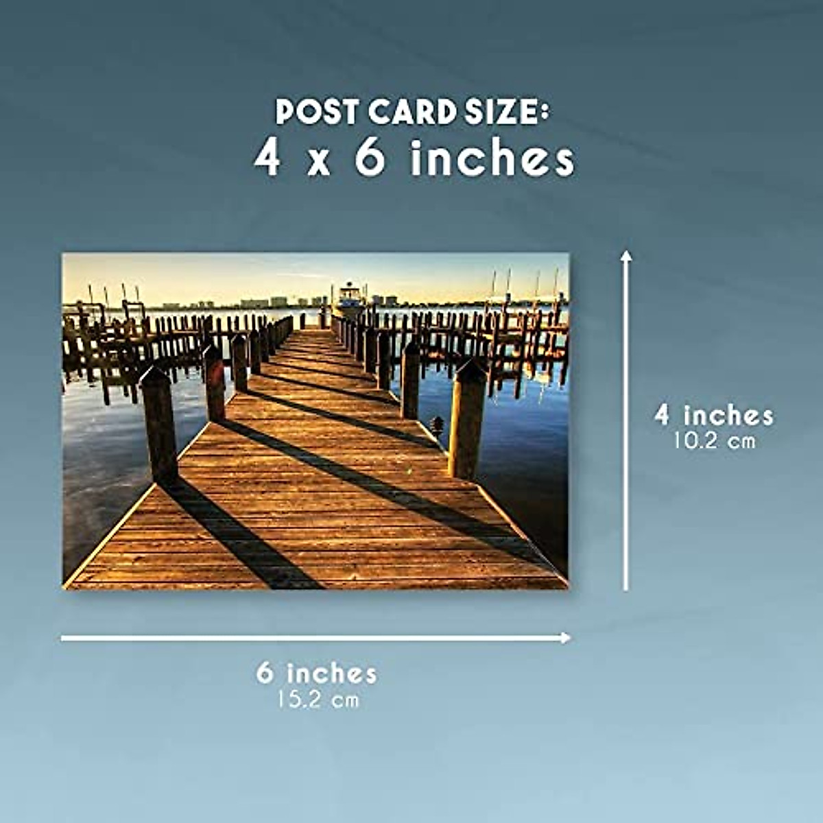 Best Paper Greetings 40 Pack Bulk Animal and Travel Postcards From Around the World for Mailing, Assorted Nature Thank You Notes (4 x 6 In)