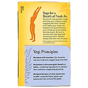 Yogi Tea, Breathe Deep, 16 Count