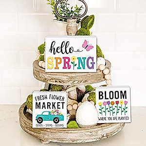 Huray Rayho Party Hello Spring Tiered Tray Decorations Farmhouse Mini Wood Decor Easter Table Centerpieces Fresh Flower Market Home 3D Signs Seasonal Bloom Butterfly Kitchen Wooden Ornaments Set of 3